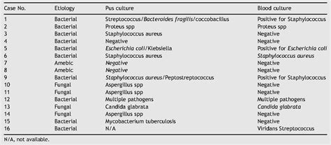 Bacterial Abscess Semantic Scholar