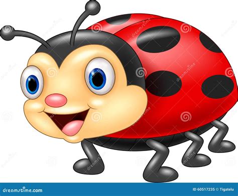 Ladybug Red Cartoon Icon Realistic Stock Illustration Cartoondealer