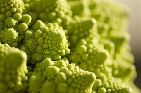 Romanesco Broccoli Capturing The Beauty Of Fractals