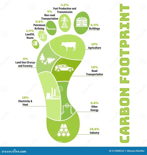 Infografía De Huella De Carbono Esquema De Huella Ecológica De Co2