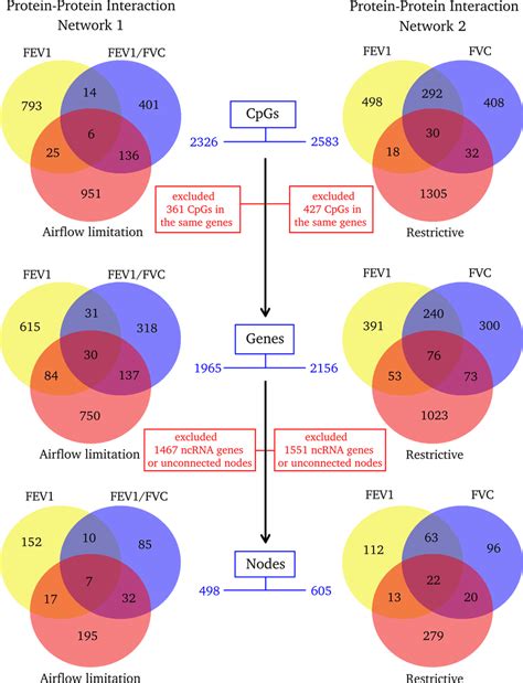 Workflow For Proteinprotein Interaction Networks Download Scientific