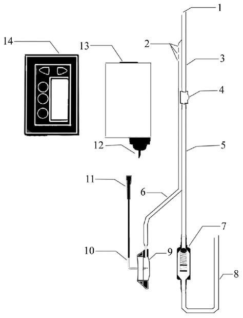 Structure Diagram Of The Cerebrospinal Fluid Csf Circulatory