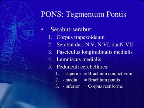 Ppt Truncus Cerebri Powerpoint Presentation Free Download Id3642051