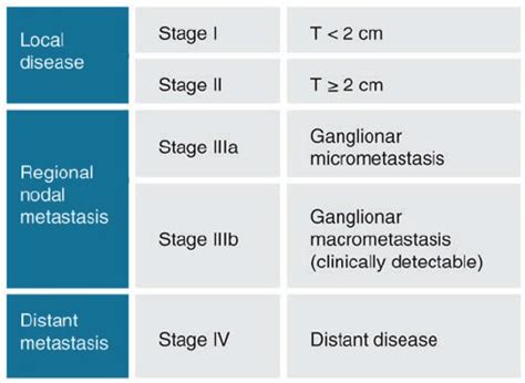 Stage Classification Of Merkel Cell Carcinoma Download Scientific Diagram