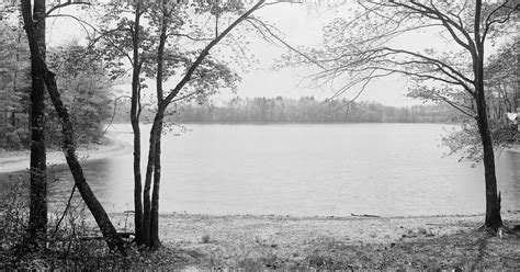 “walden” O El Verdadero Arte De Vivir Infobae