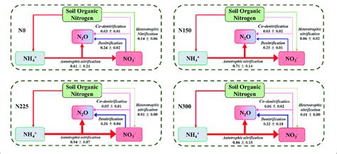 N 2 O Production Rates From Autotrophic Nitrification Heterotrophic
