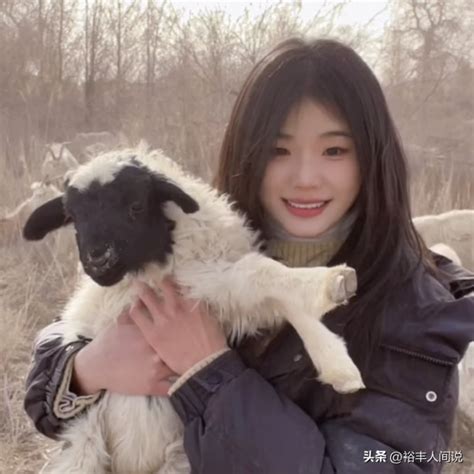 灰太狼的羊自曝被家暴风波后首次现身 筷逗鱼