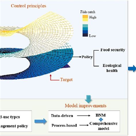Conceptual Diagram Of Multi Dimensional Management Strategies Download Scientific Diagram