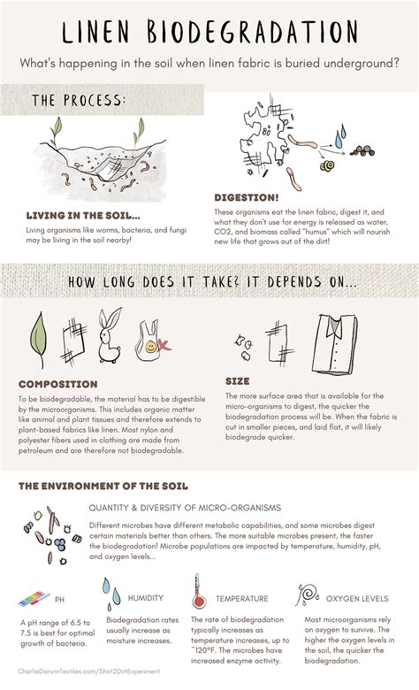 Biodegradation Whats Happening In The Soil