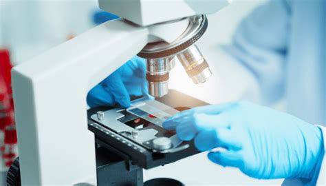 株式会社cellastar 「いつまでも」への挑戦。再生医療が拓く、エイジレスな未来。