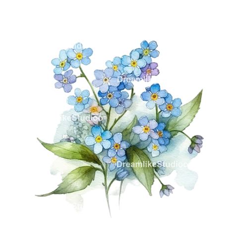 Watercolor Forget Me Not Clipart Forget Me Not Bouquet Png Etsy