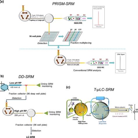 Antibody‐based Affinity Enrichment For Improving Targeted Proteomics