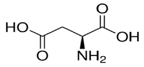 1 Chemical Structure Of L Aspartic Acid Download Scientific Diagram