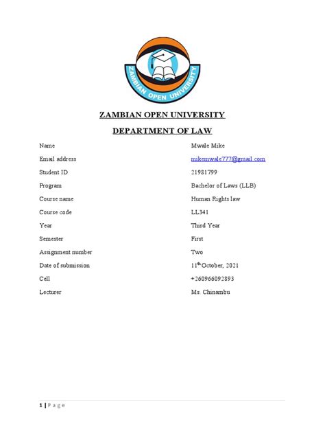 Human Rights Assignment 2 Zaou Pdf Rights Confession Law