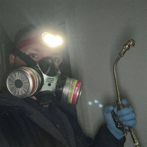 Gallery And Testimonials Precision Exterminating Services