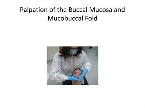 Examination Of The Oral Cavity Ppt