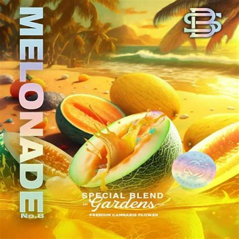 Melonade No 8 Special Blend Gardens