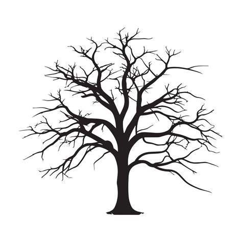 Bare Tree Silhouette Background Tree Without Leaves Silhouette White