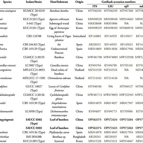 Pdf Morphological And Phylogenetic Analyses Reveal Two New Species