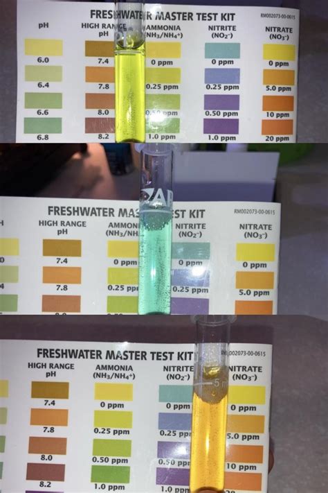 6 Gallon Api Parameters Album On Imgur
