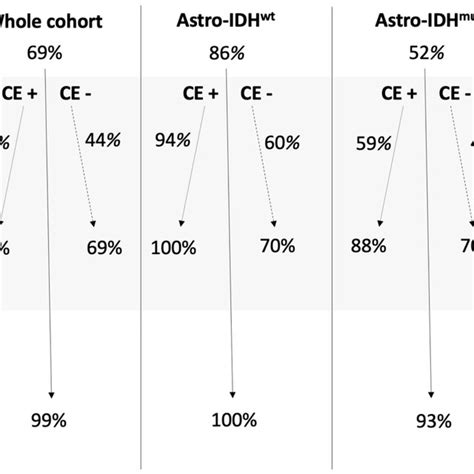 Multilevel Classification For The Differentiation Of Progressive Download Scientific Diagram
