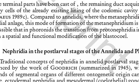 Segmental Formation Of The Metanephridium In Ph Oloe Minuta