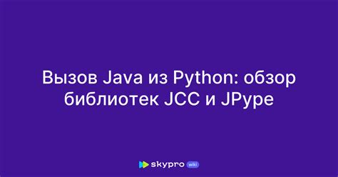 Вызов Java из Python обзор библиотек Jcc и Jpype