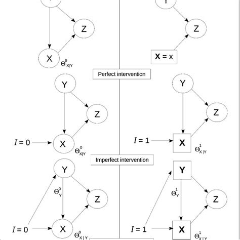 A Causal Dag With Observed Variables Download Scientific Diagram