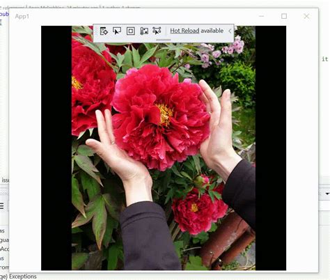 Image Memory Leak Issue Microsoft Microsoft Ui Xaml Github