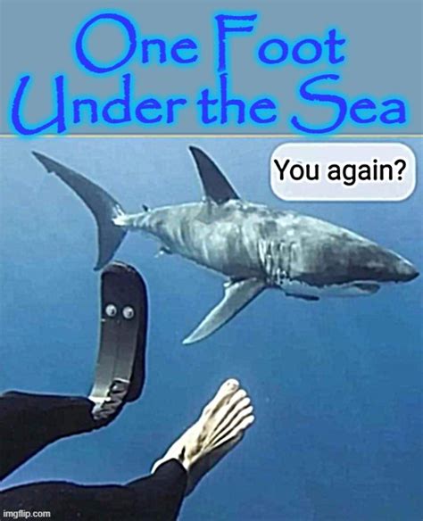 Funny Shark Attacks