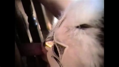 Yukatan Beaches Usa 1991 Racquel Darrian Rayne Eporner