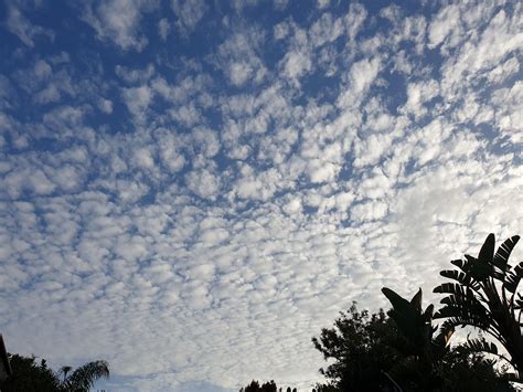 86 Best Altocumulus Images On Pholder Brisbane Interestingasfuck And