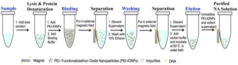 Optimization Of Binding Buffer Composition Polyethylene Glycol Sodium