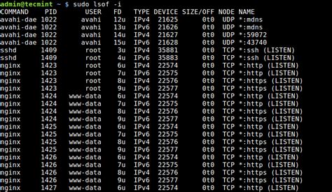 找出 Linux 中正在监听的端口的 4 种方法