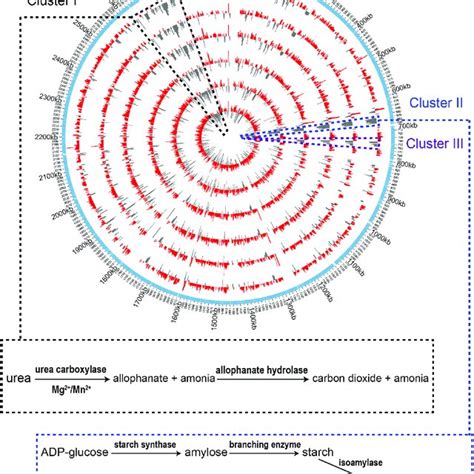 Illustration Of A 2 Methylcitrate Cycle Pathway And B Genomic Download Scientific Diagram