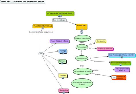 Mapa Conceptual Del Sistema Respiratorio Nuestros Esquemas Del Aparato