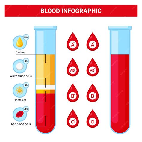 Infografía De Sangre De Diseño Plano Concepto De Composición Sanguínea