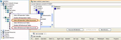 Advanced Oracle Idataagent Restore