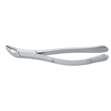 Root Forceps Ali Surgical