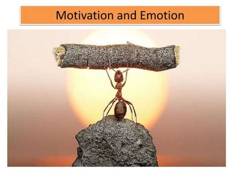 Psychology Motivation And Emotion Ppt