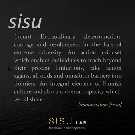 13 Sisu Tattoo Ideas Small Tattoos Tattoos Tattoo Designs