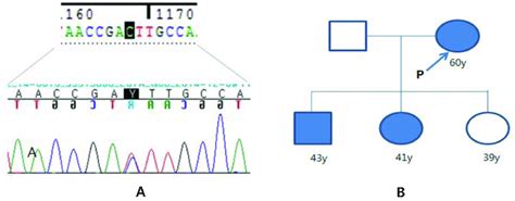 A Msh2 Mutation Analysis Report B Pedigree Of The Msh2 Variant Of