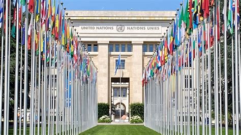 Participation In A Panel Discussion By The United Nations Economic