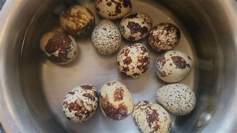 Deviled Quail Eggs Binkys Culinary Carnival