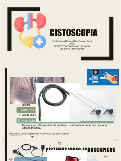 Cistoscopia Procedimientos Y Equipos Pdf Especialidades Medicas