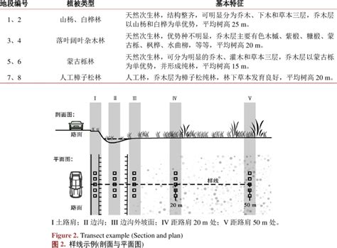 Basic Information Of Investigated Section 表 1 调查地段基本情况 Download
