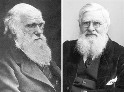 Charles Darwin And Alfred Wallace Evolution Facts
