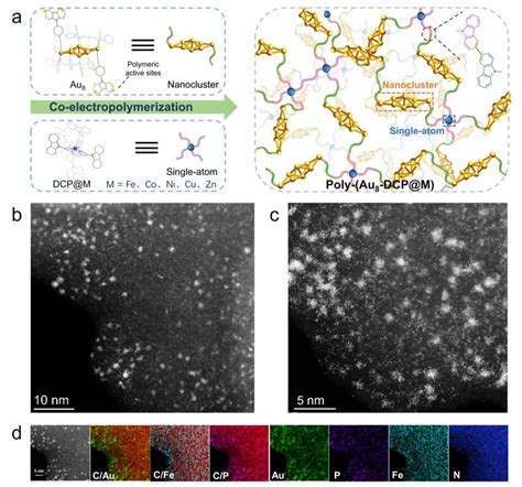 Synthesis Procedure And Morphology Characterizations Of The Catalysts