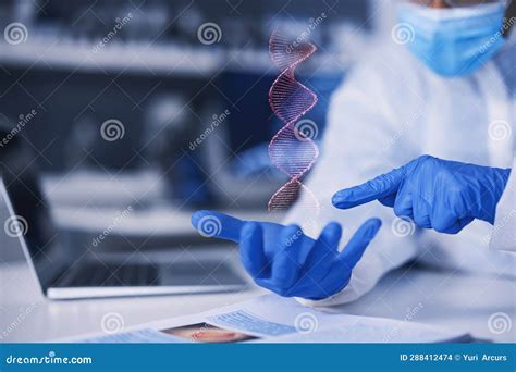 Hands Scientist And Dna Hologram In Lab Analysis Studying And Gloves