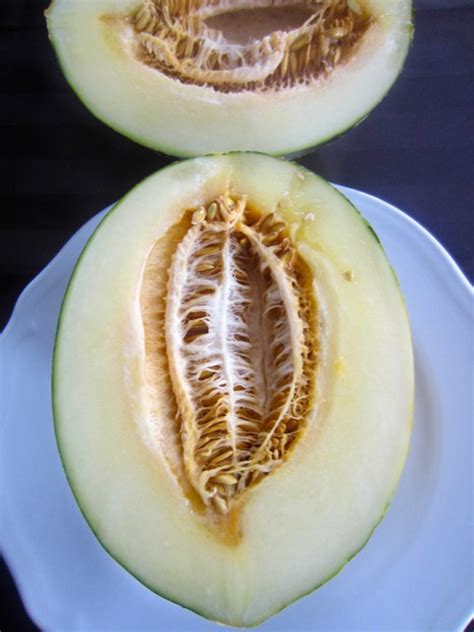 The Santa Claus Melon Piel De Sapo My Favourite Pastime